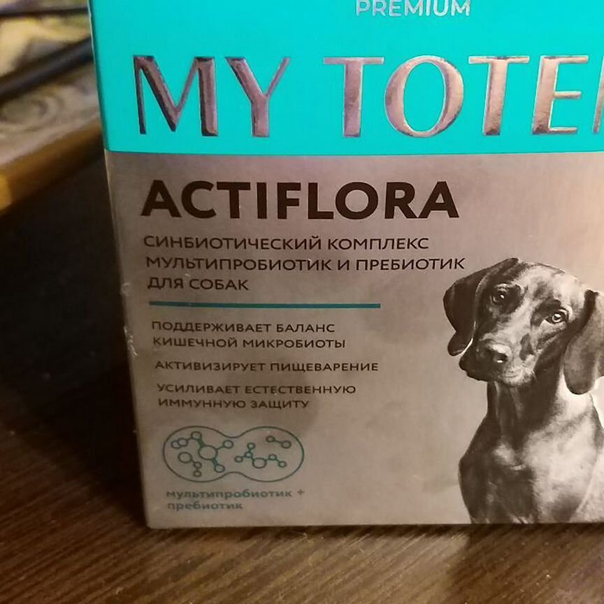 Актифлора
