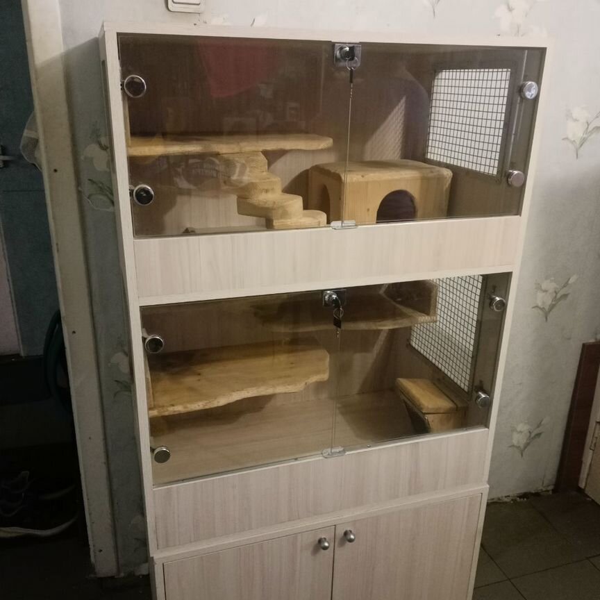 Витрина для шиншилл