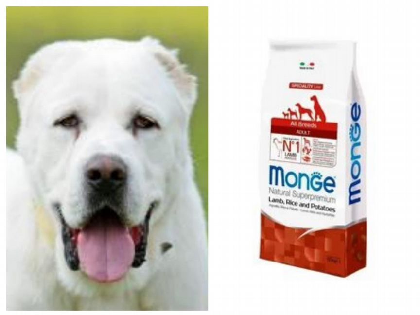 Корм для собак Monge Монж Ягненок 15 кг