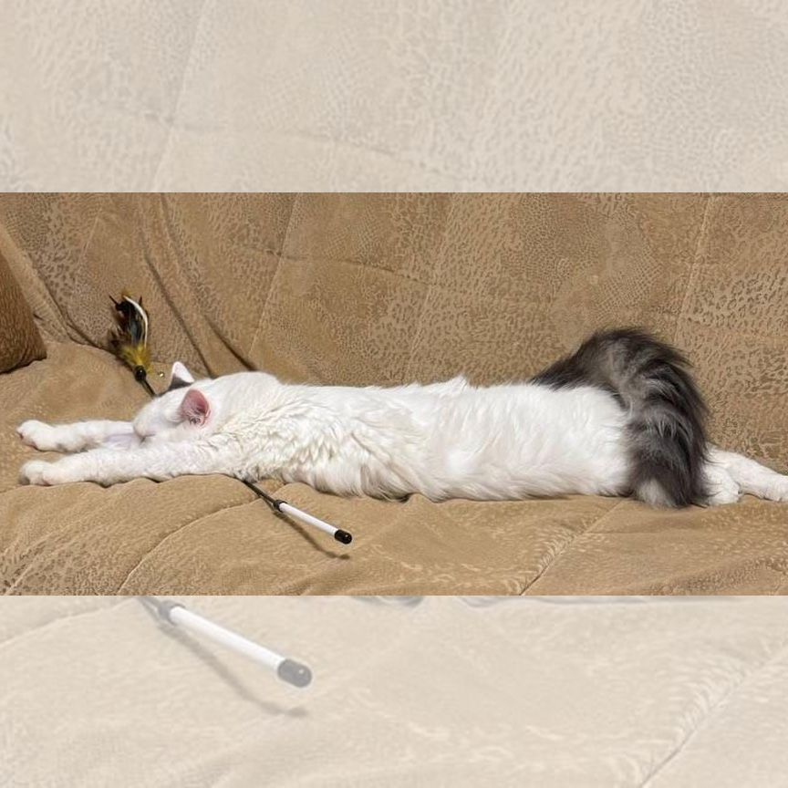 Блондин с зелёными глазами