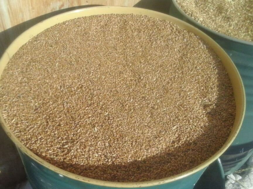 Зерно без обработки и мука цельнозерновая