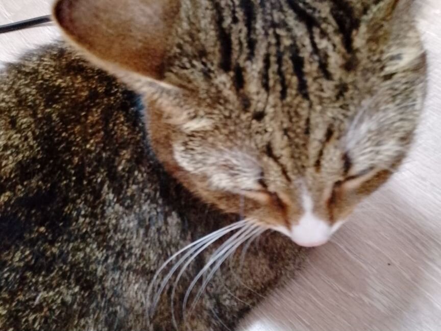 Европейская