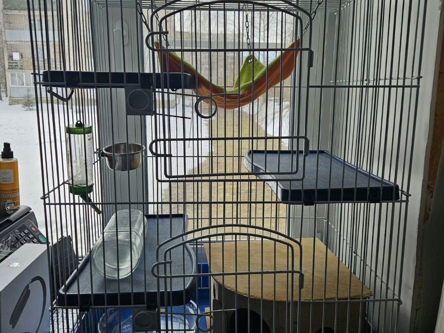 Клетка для грызунов, шиншилл