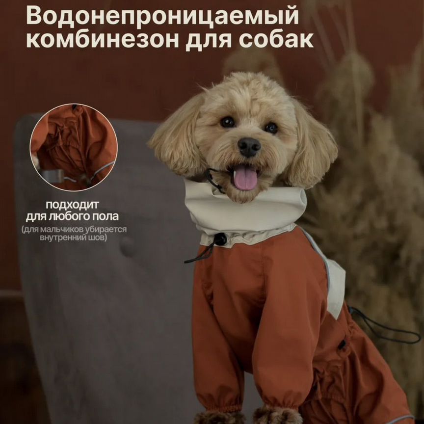 Комбинезон для маленькой собаки