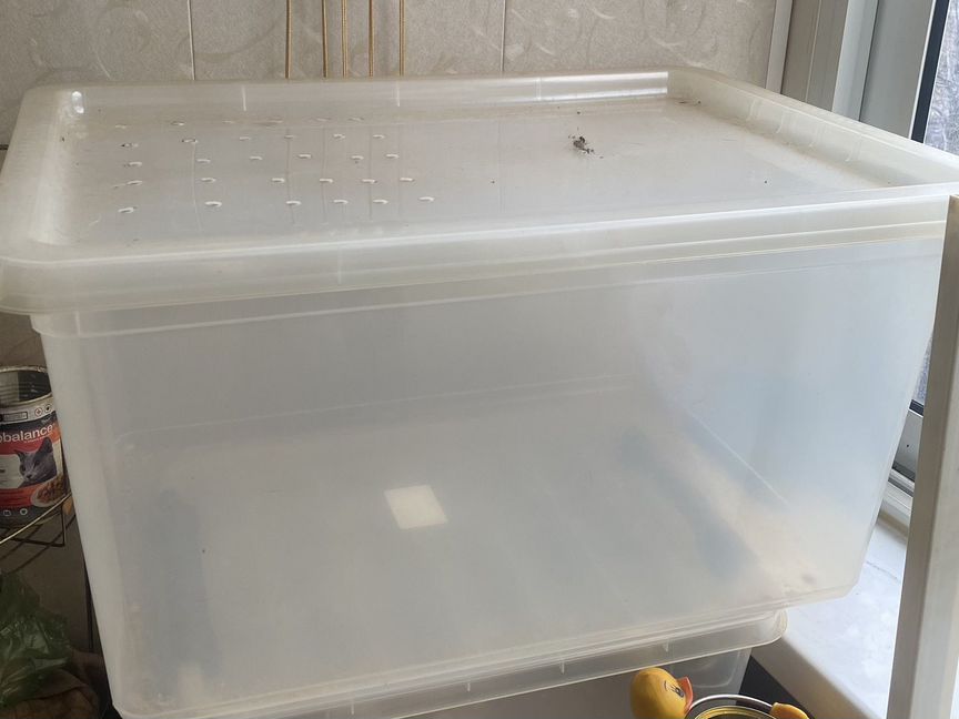 Контейнер для грызунов