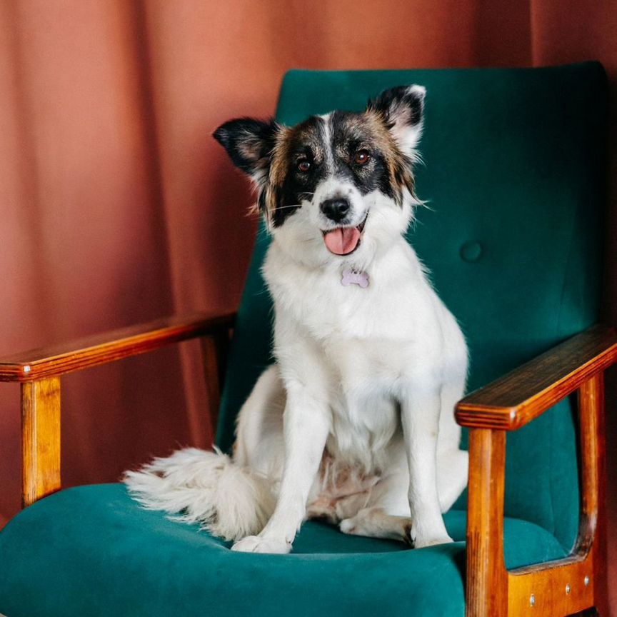 Крошка Сури ждёт свою семью