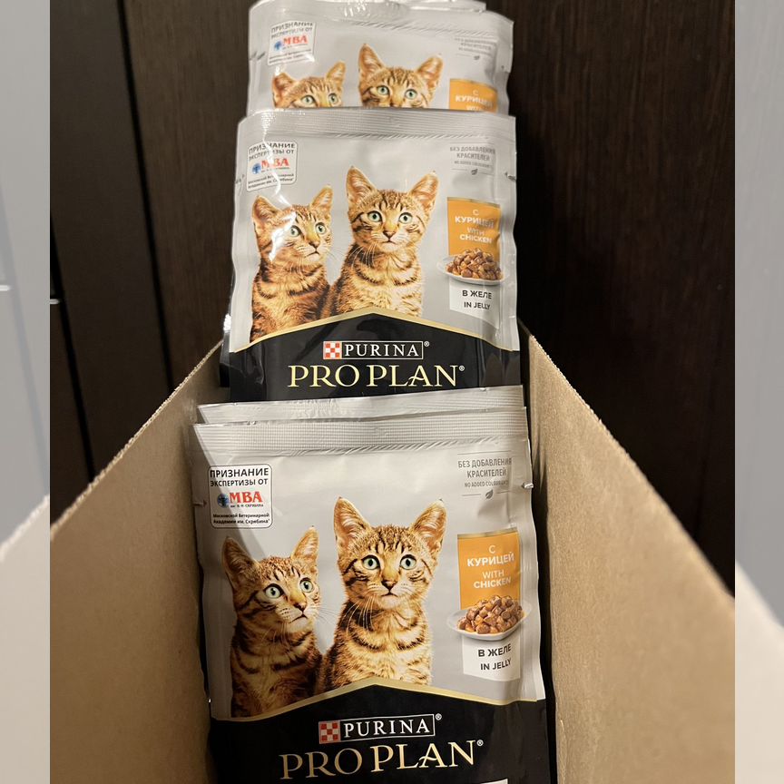 Влажный корм для котят pro plan
