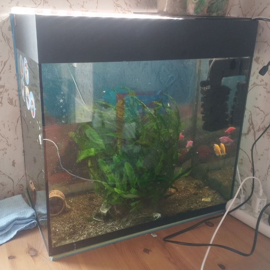 Аквариум вместе с рыбкой