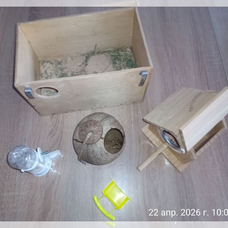 В клетку попугаям