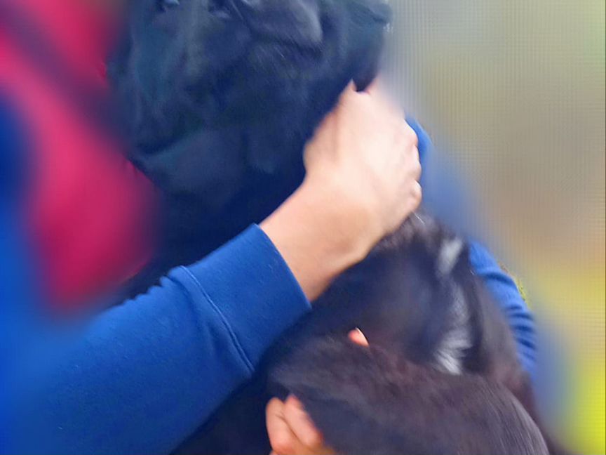 Кому красотку 4 мес