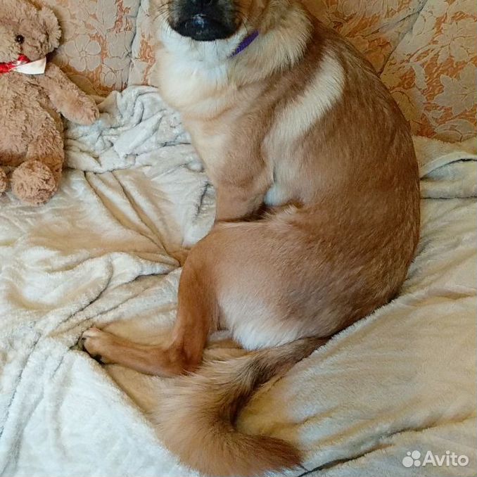 Гиперласковый паренёк