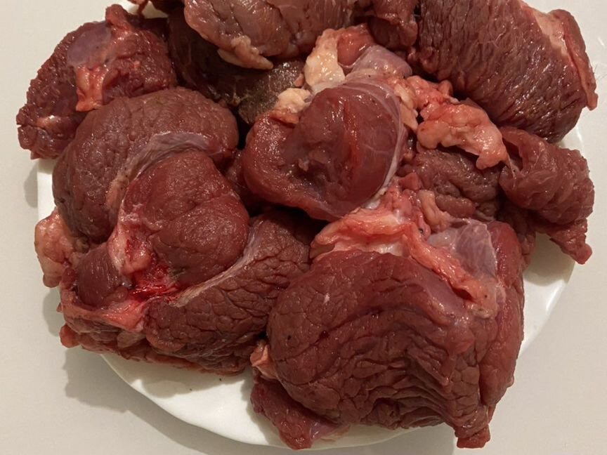 Собачья радость