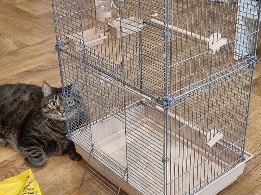 Клетка для попугая большая