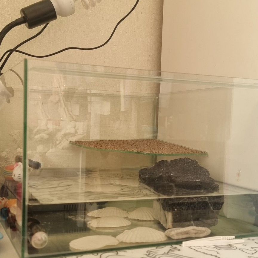 Террариум для красноухой черепахи