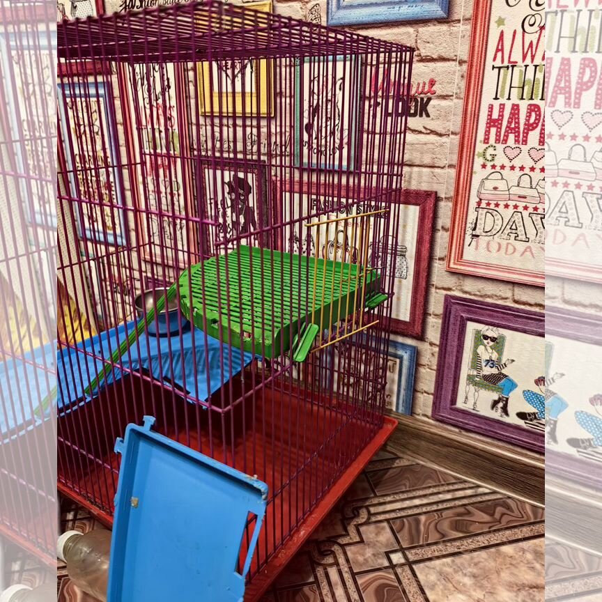 Клетка для грызунов