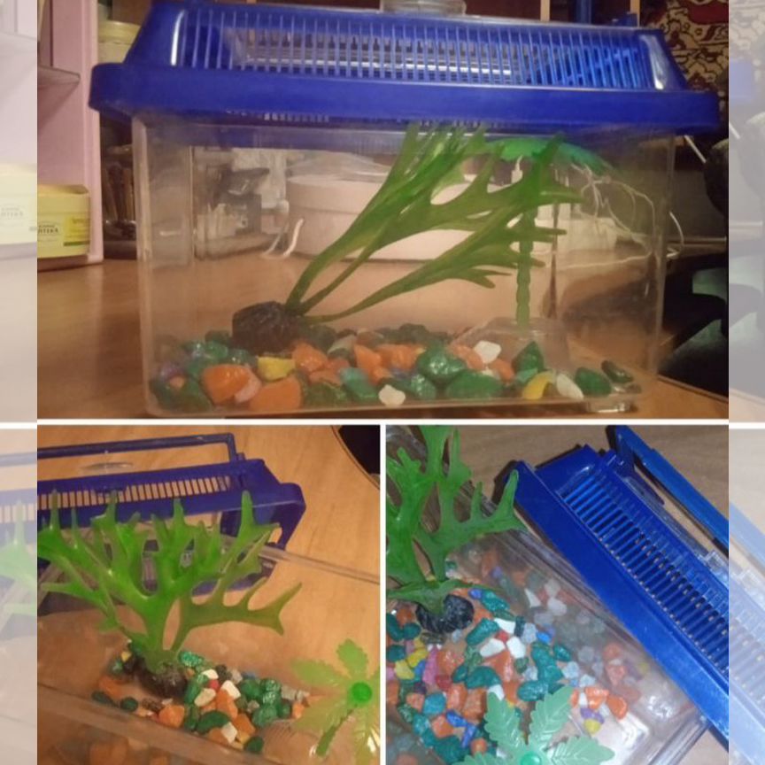 Декоративный контейнер для рыбок