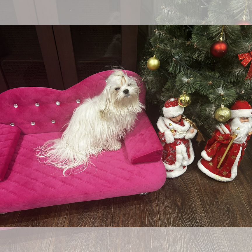 Диван для собачек