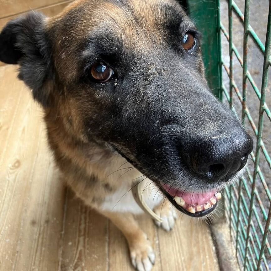 Забери меня с собой