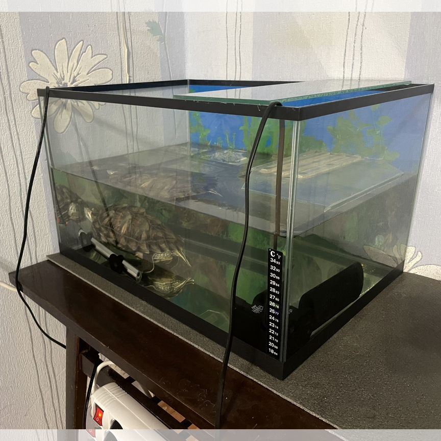 Черепашатник/аквариум для черепахи 50 л. 35х50