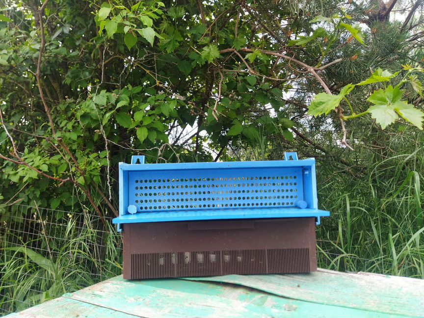 Пыльцеловитель пыльцесборник