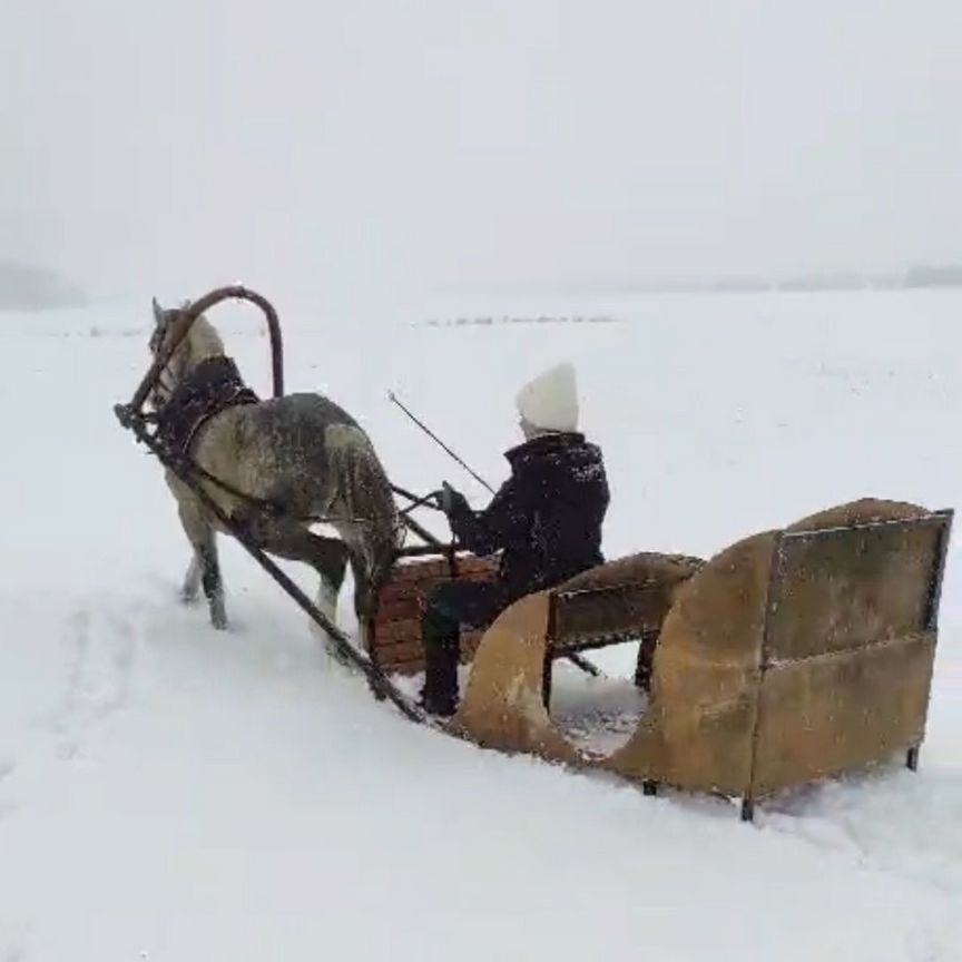 Сани для лошади
