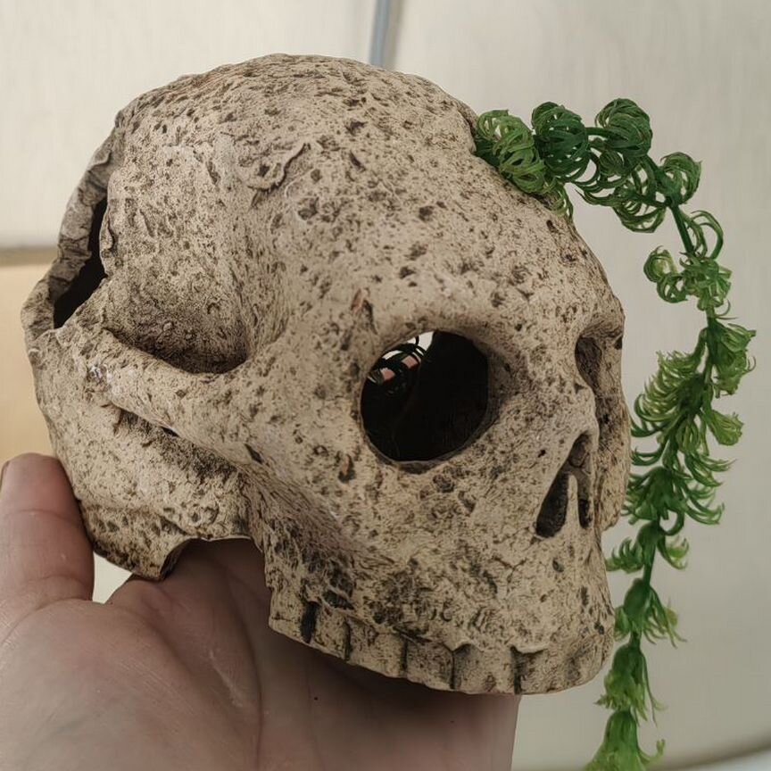 Декор для аквариума череп