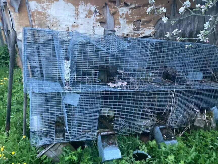 Клетки для кроликов