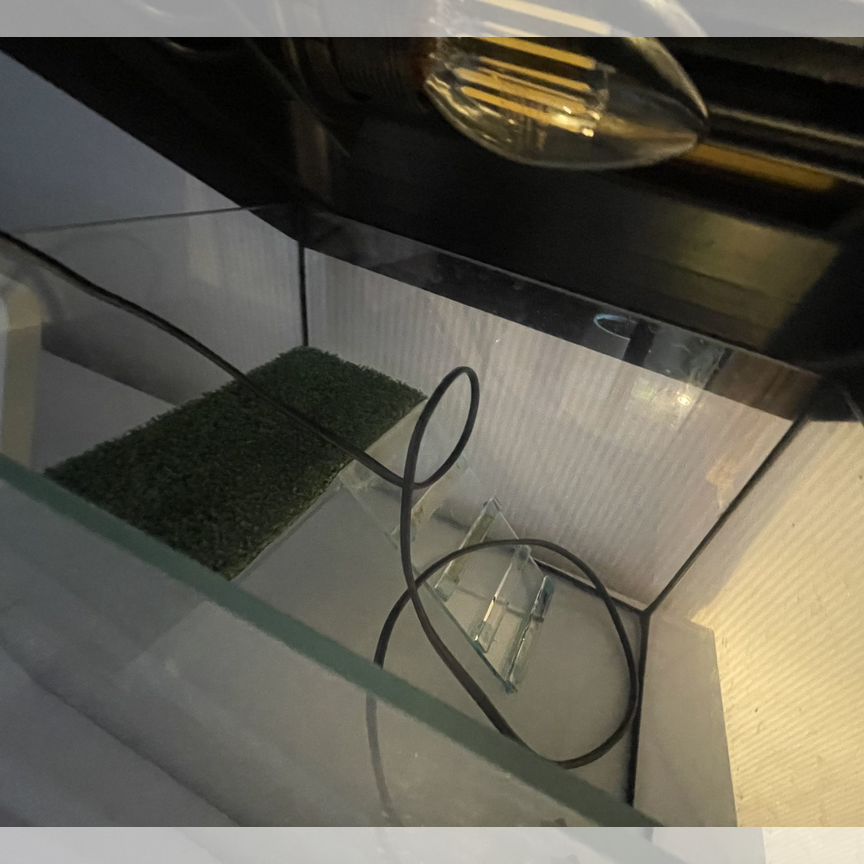 Аквариум для красноухой черепахи