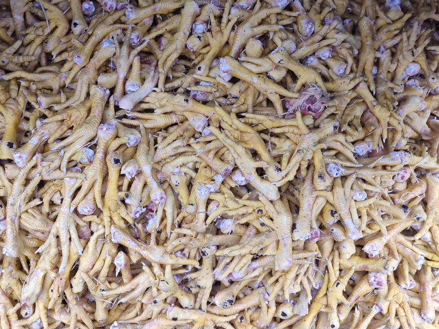 Корм для животных, лапки куриные