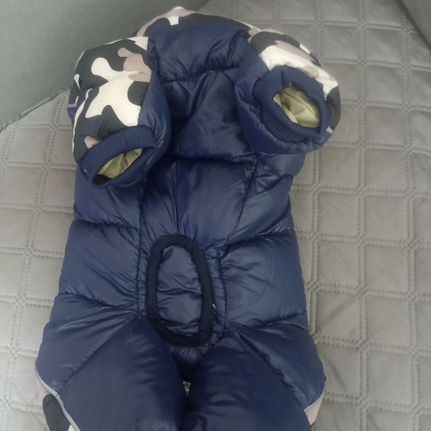 Одежда для собак мелких пород