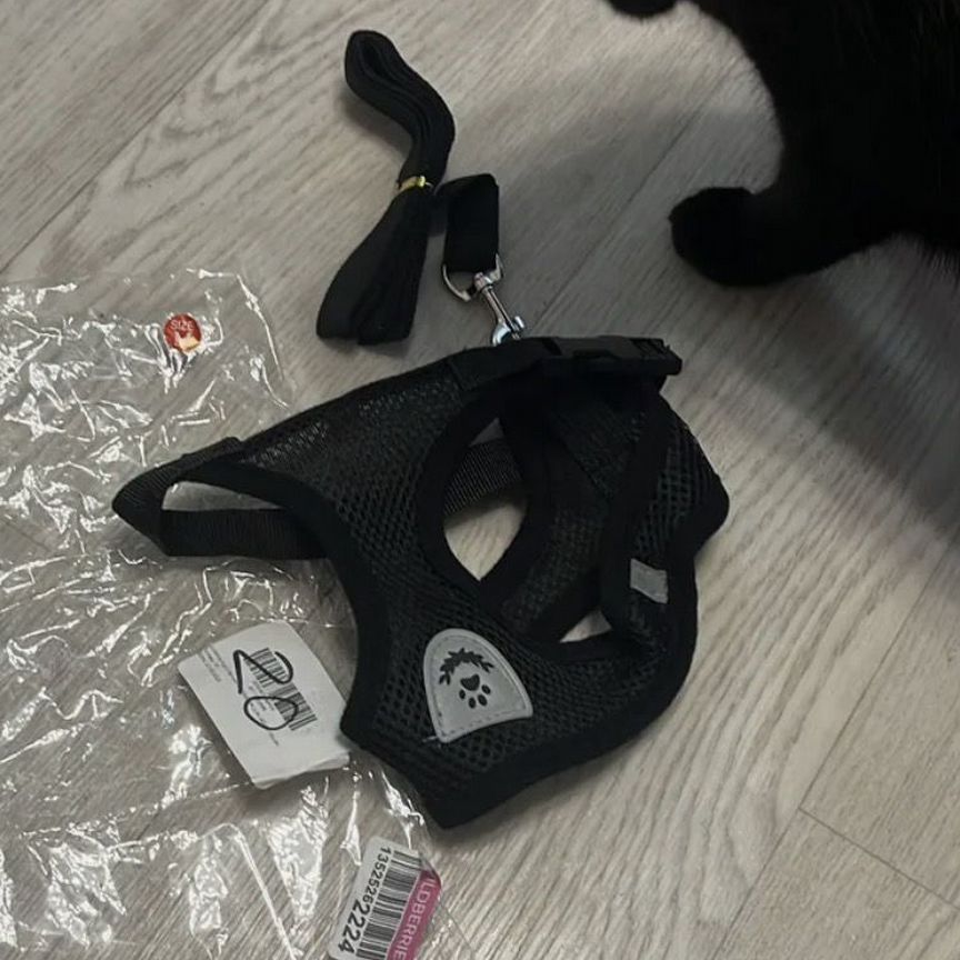 Шлейка и перчатка от шерсти для кошек и собак