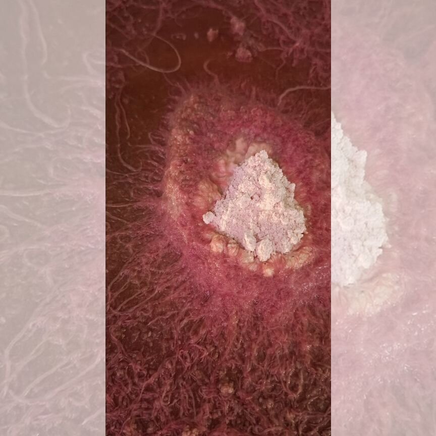 Трубочки изя