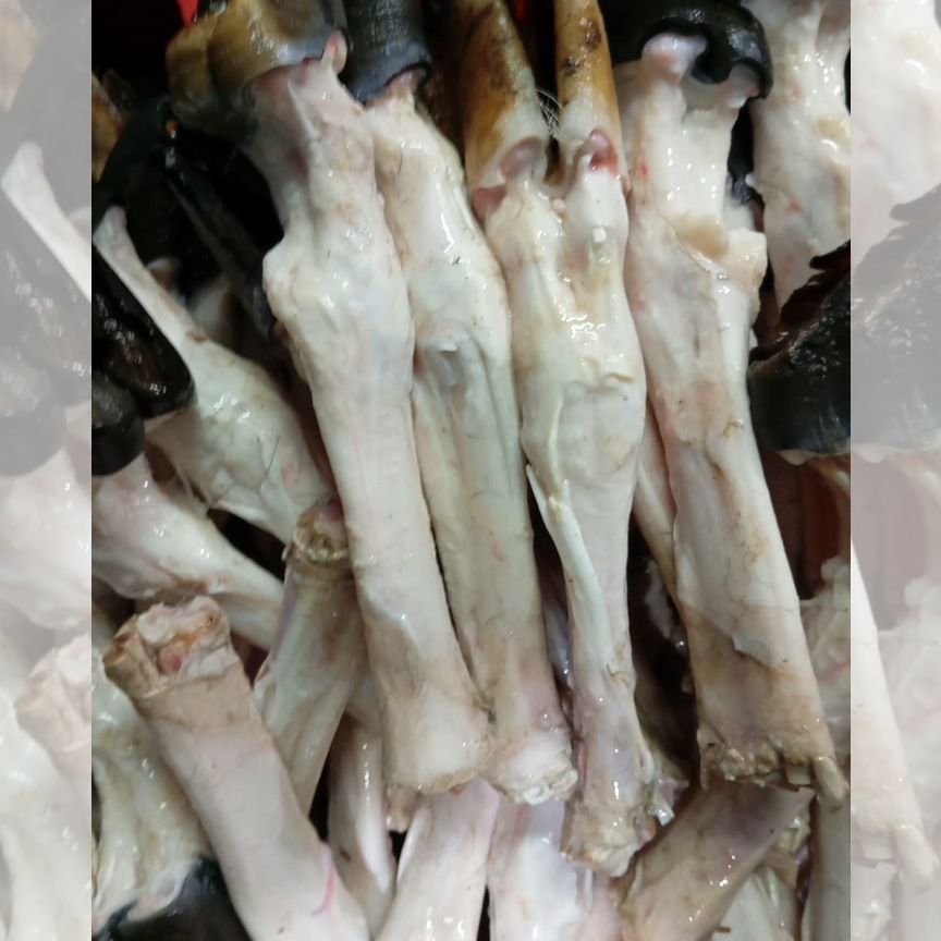 Ноги бараньи