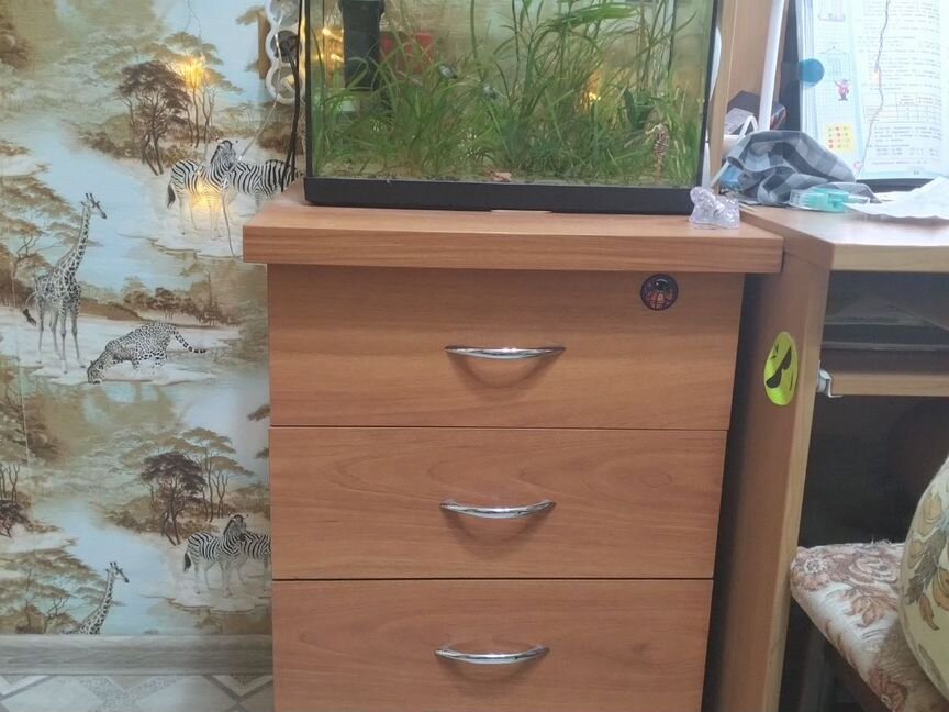 Аквариум со всем необходимым