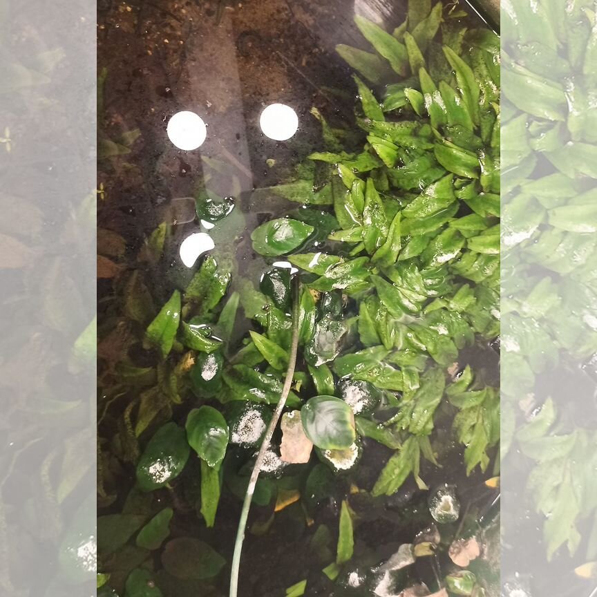 Аквариум с тумбой