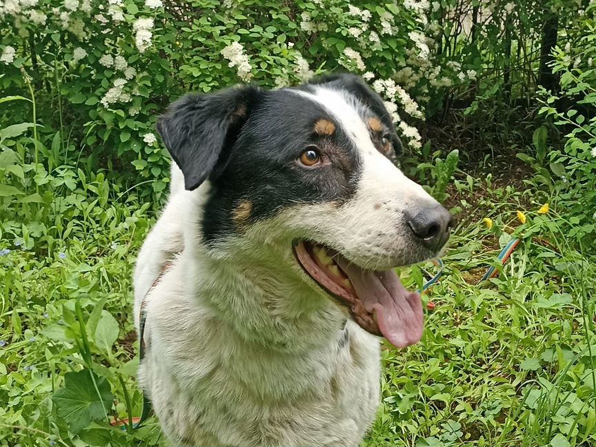 Джек надеется найти дом