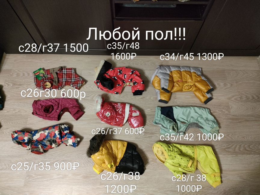 Одежда для собак новая и б/у,сумки-переноски,обувь