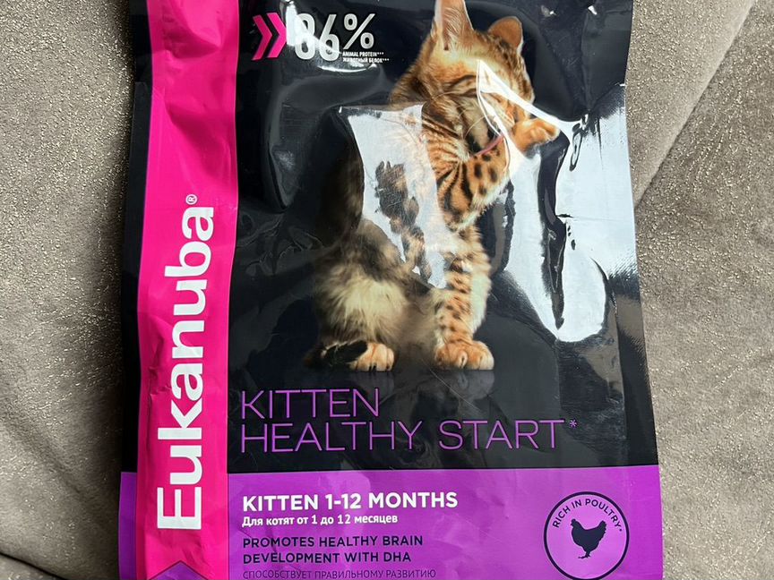 Сухой корм для котят