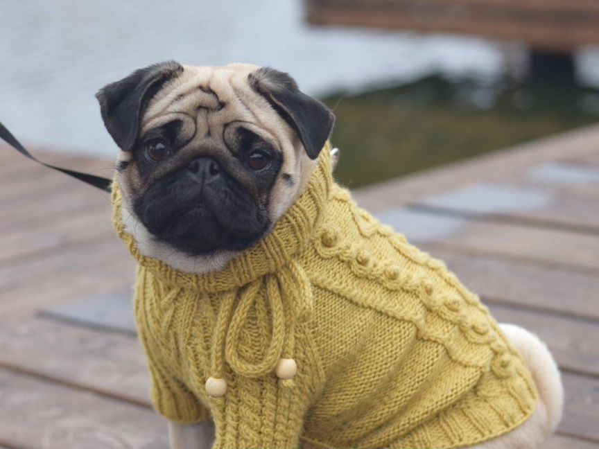 Одежда для собак свитер ручной работы