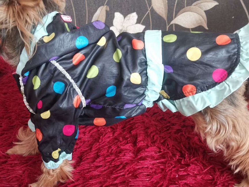 Дождевик для собаки