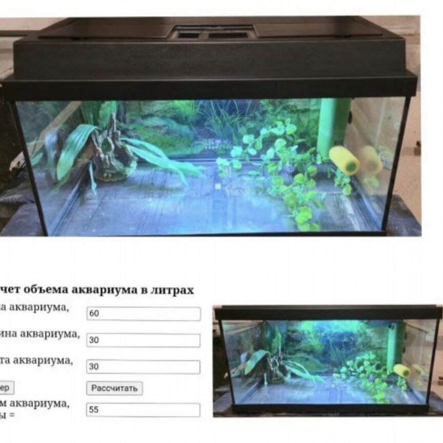 Аквариум
