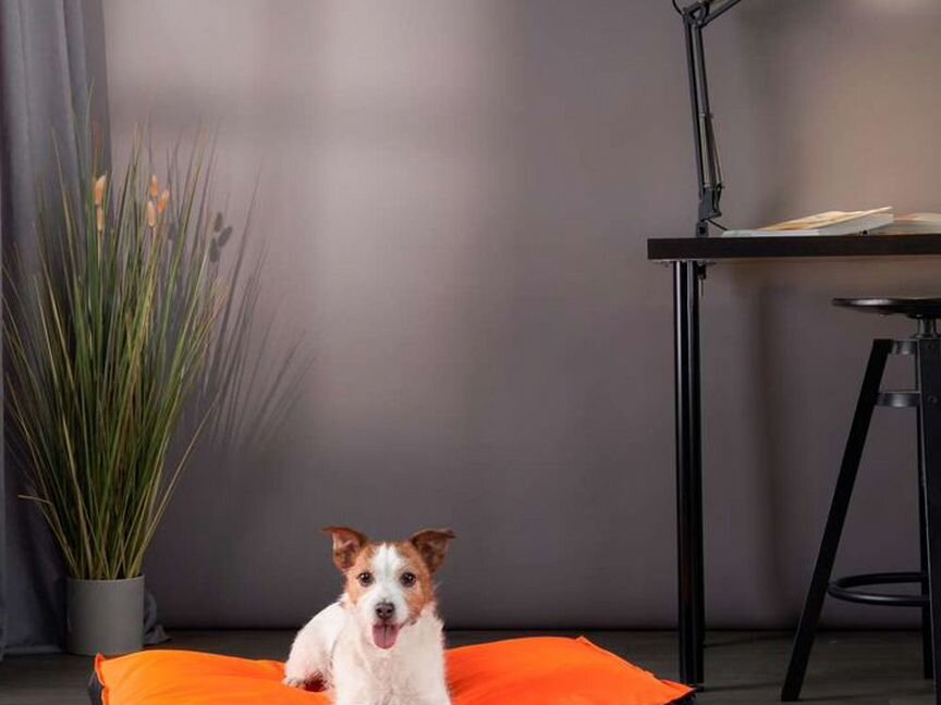 Лежанка для собак средних пород 80х60 антикоготь