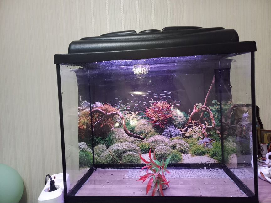 Аквариум 45 литров