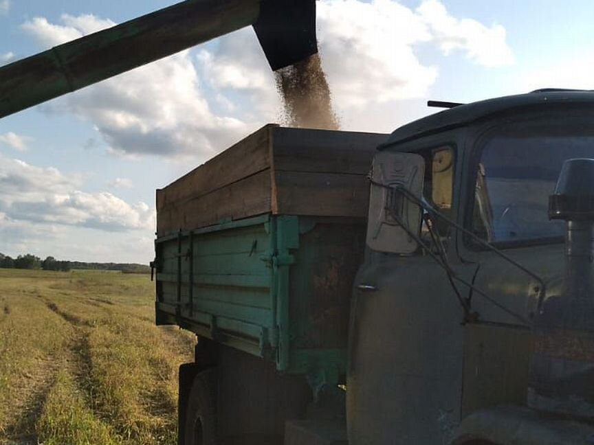 Отходы овес, пшеница, сухие