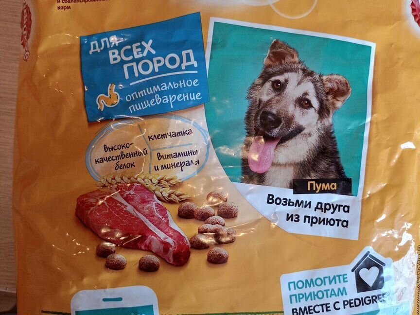 Перфект, Феликс, Пурина Ван, Педигри