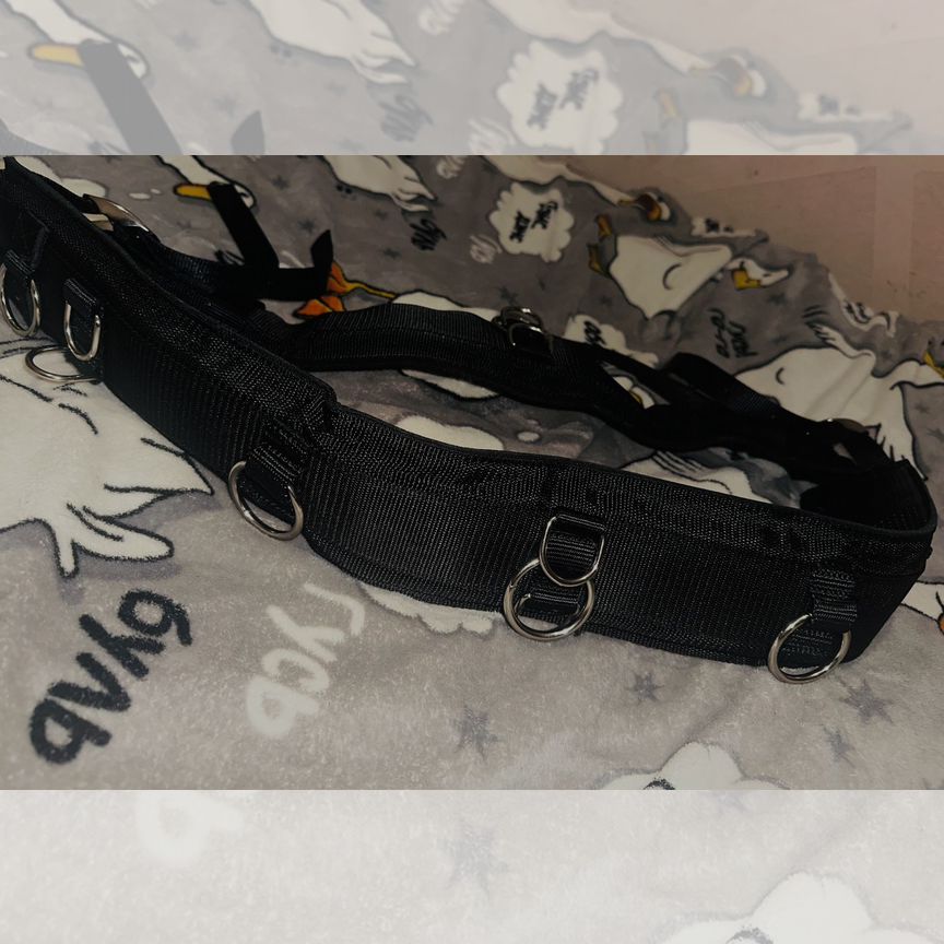 Гурта для лошади, корда, уздечка барочная