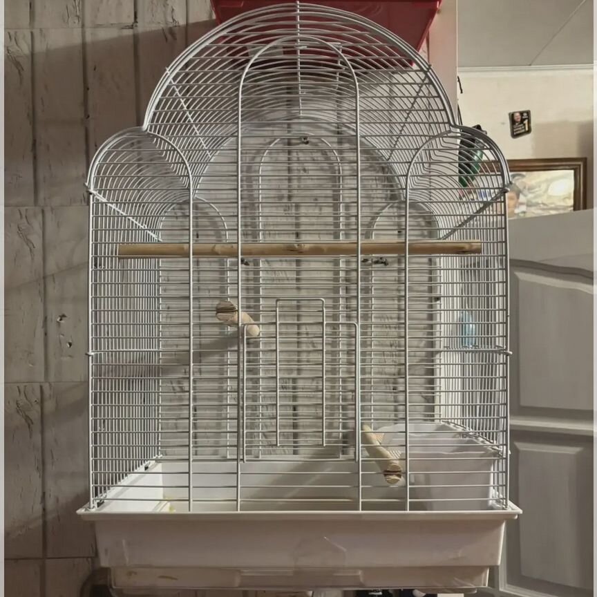 Клетка для попугая