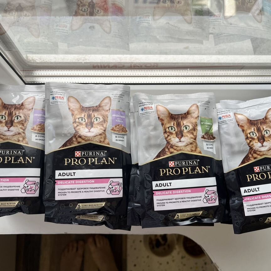 Корм для кошек влажный