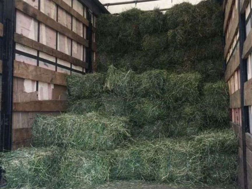 Сено продается от 600 тюк с доставкой