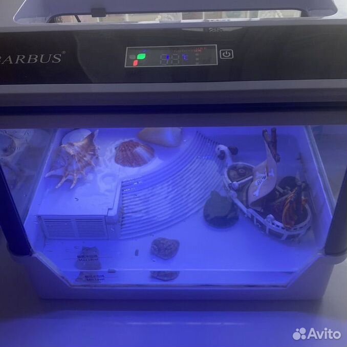 Красноухие черепахи 2 шт с аквариумом